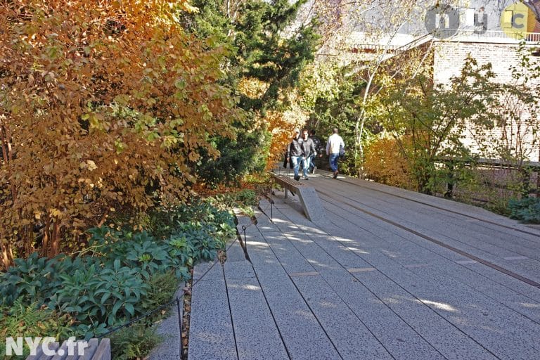 High Line Park, the trendy place to walk in New York!